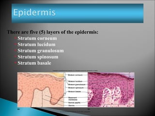 Chapt06 Holes Lecture Animation[1] | PPT