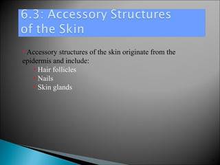 Chapt06 Holes Lecture Animation[1] | PPT