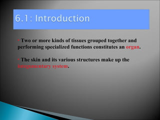 Chapt06 Holes Lecture Animation[1] | PPT