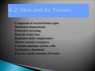 Chapt06 Holes Lecture Animation[1] | PPT