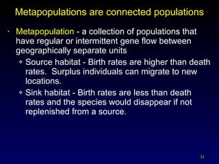 Chapt06 lecture | PPT