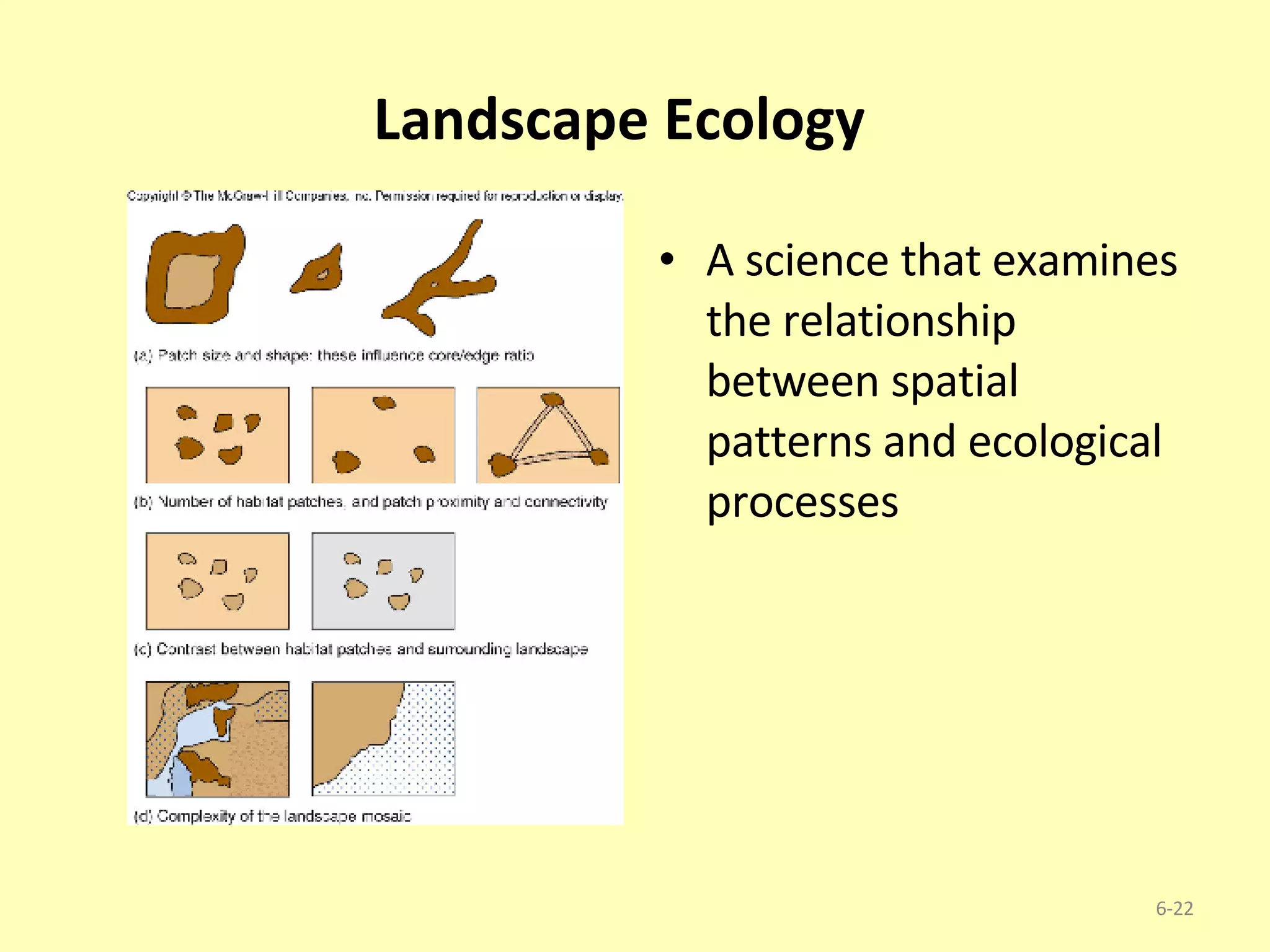 Chapt06 Lecture | PPT