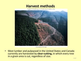 Chapt06 Lecture | PPT