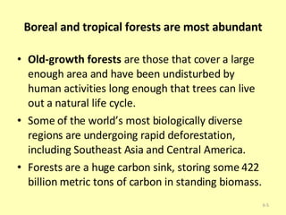 Chapt06 Lecture | PPT
