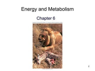 Biology 201 Ch 6 PowerPoint | PPT