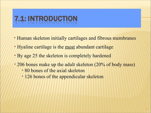 Chapt07 Holes Lecture Animation[1] | PPT