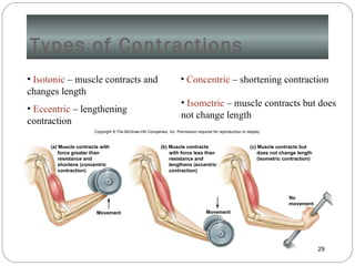 Concentric Contraction Animation