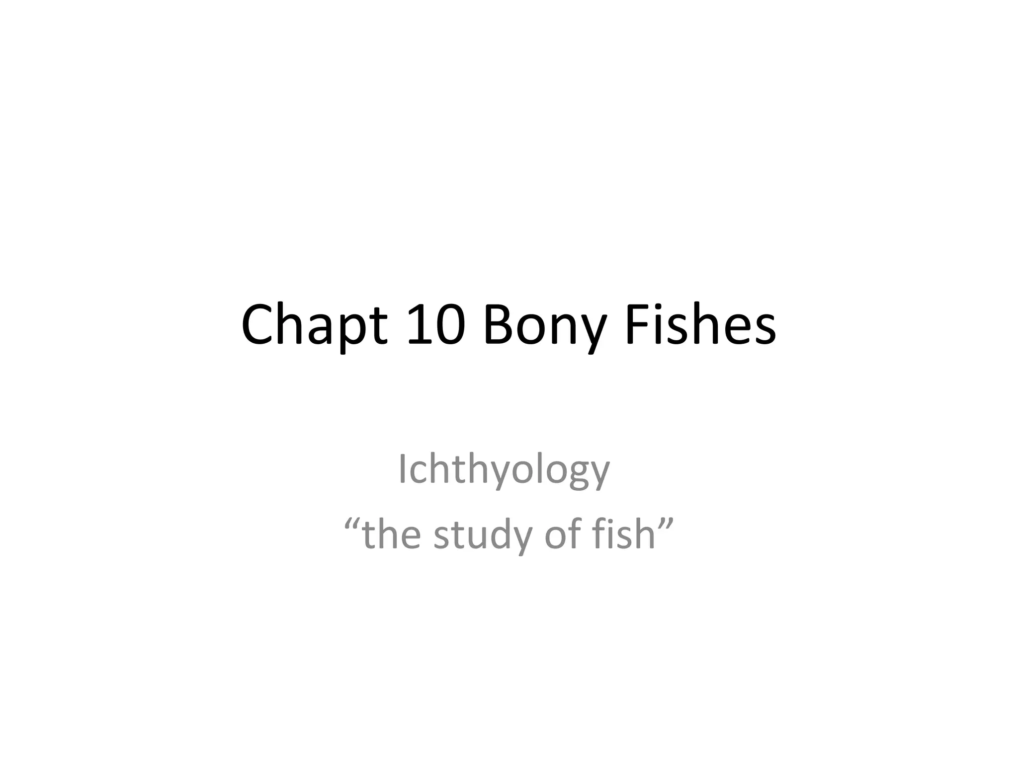 Chapt 10 bony fishes | PPT