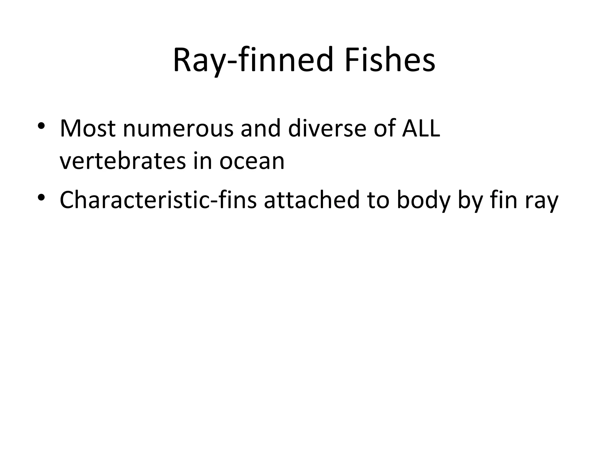 Chapt 10 bony fishes | PPT