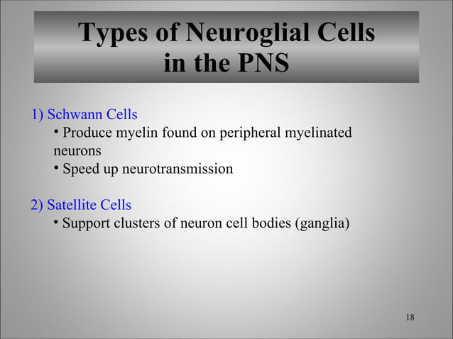 Chapt10 Holes Lecture Animation[1] | PPT