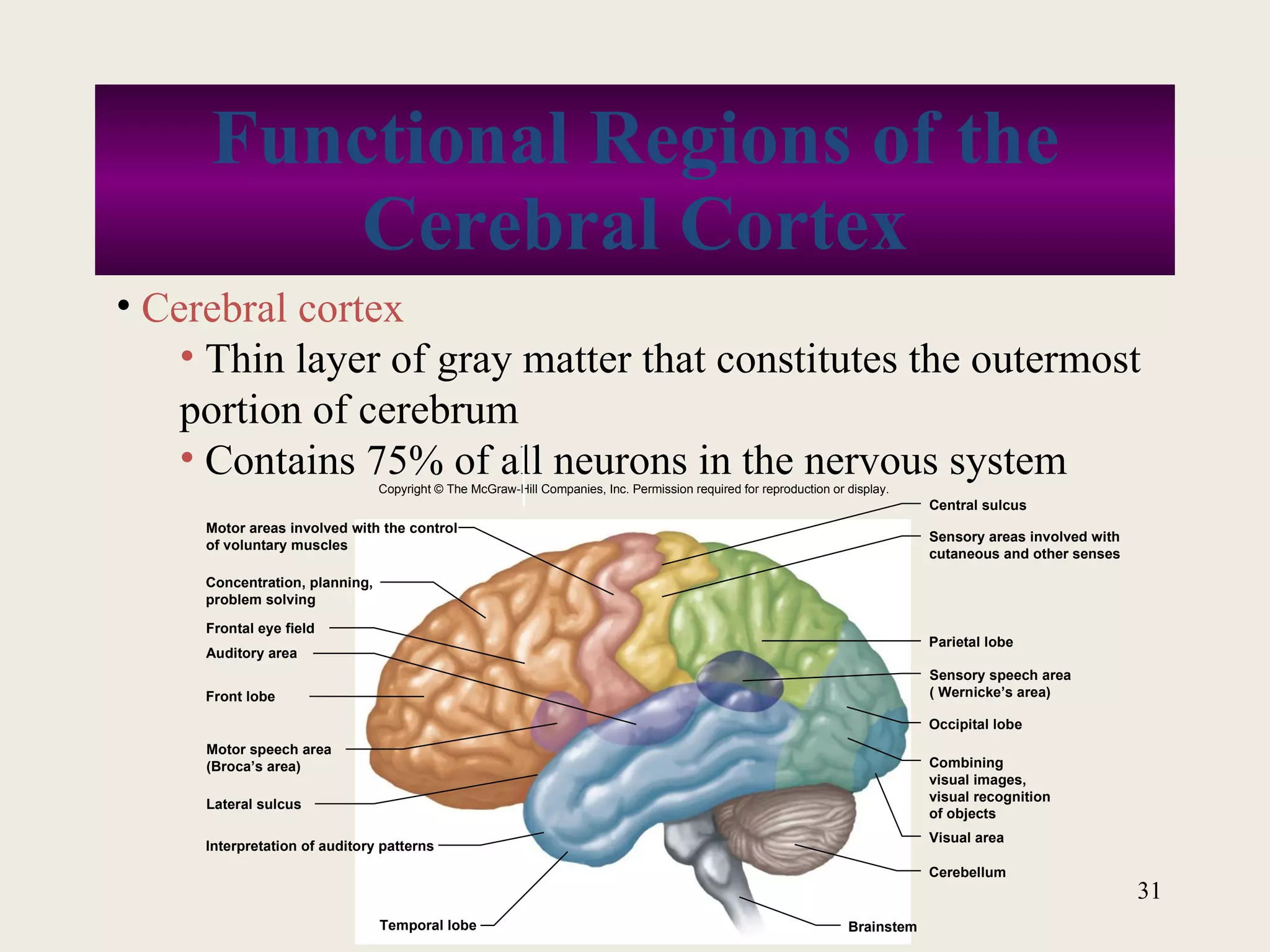 Chapt11 Holes Lecture[1] | PPT