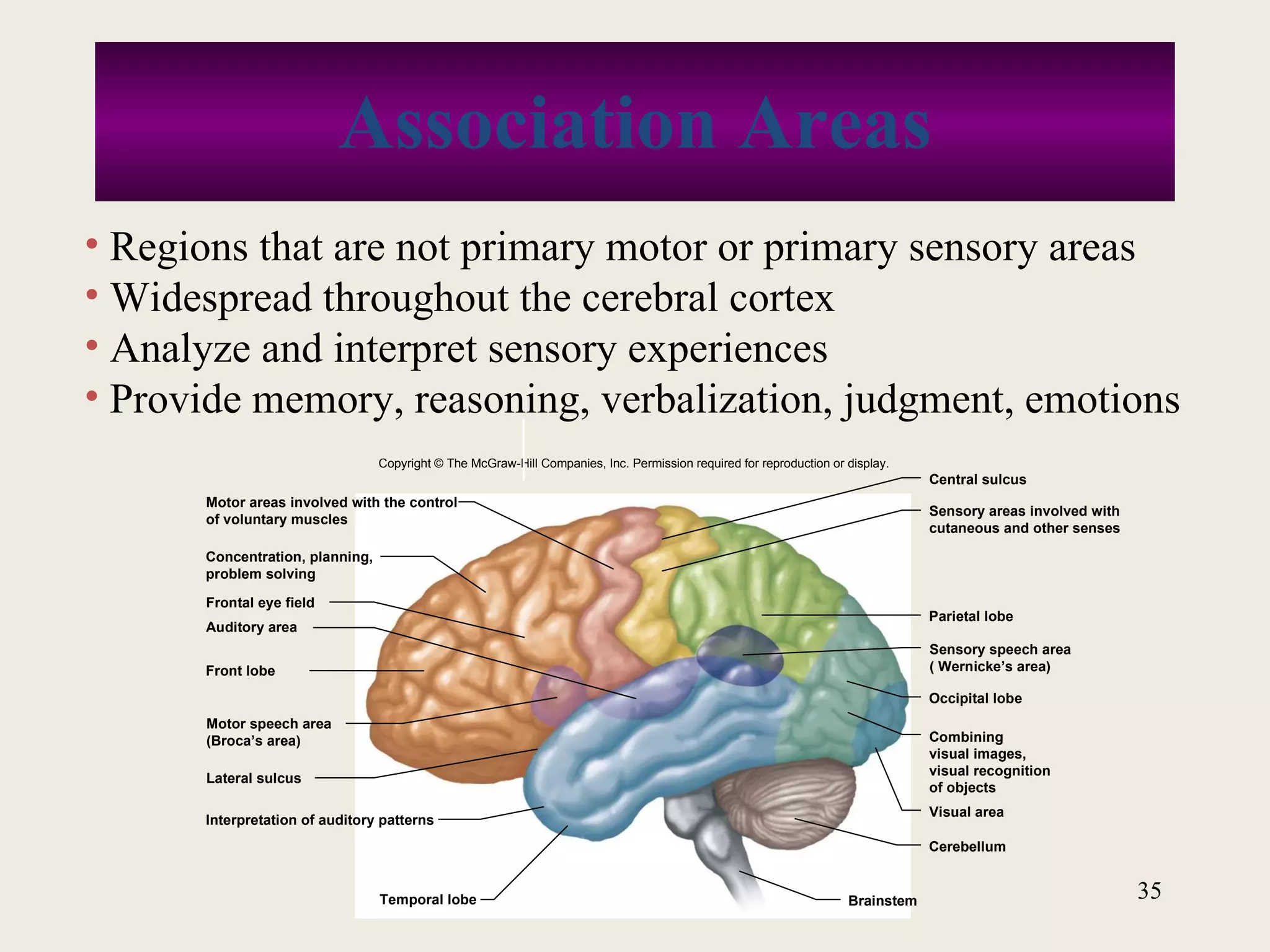 Chapt11 Holes Lecture[1] | PPT