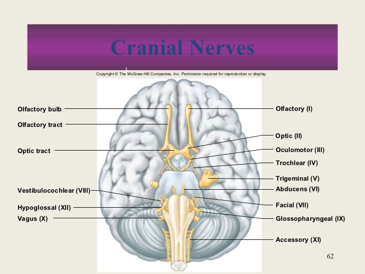 Chapt11 Holes Lecture[1]