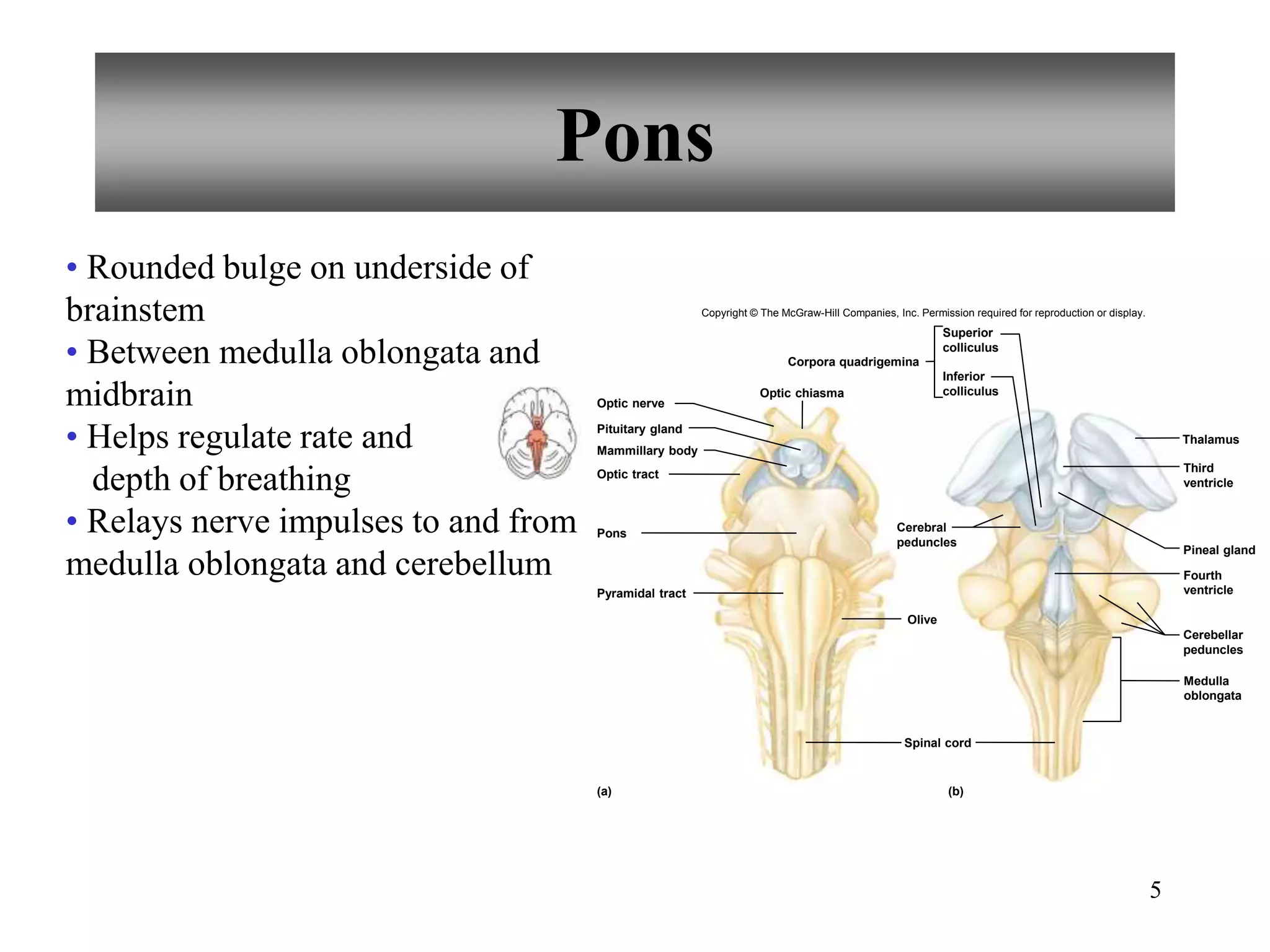 chapt11_Part_4_holes_lecture_jwt.ppt