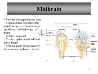 chapt11_Part_4_holes_lecture_jwt.ppt