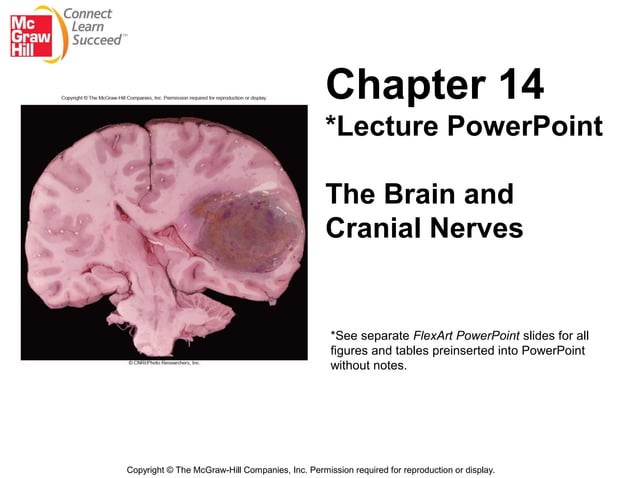 Chapt14 lecture (4) | PPT