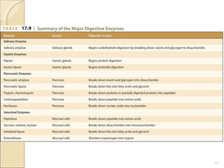 Major Digestive Enzymes Chart