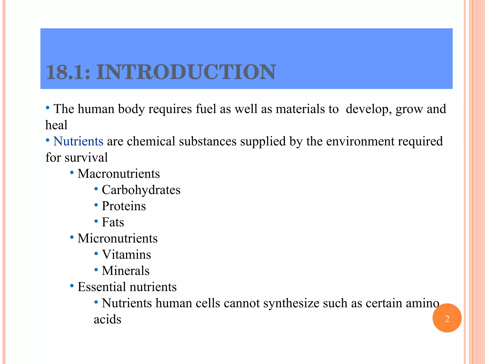 Chapt18 nutrition and metabolism | PPT