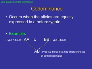 Chapt20 lecture | PPT