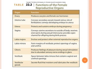 Chapt22 reproductive | PPT