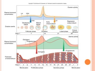 Chapt22 reproductive | PPT