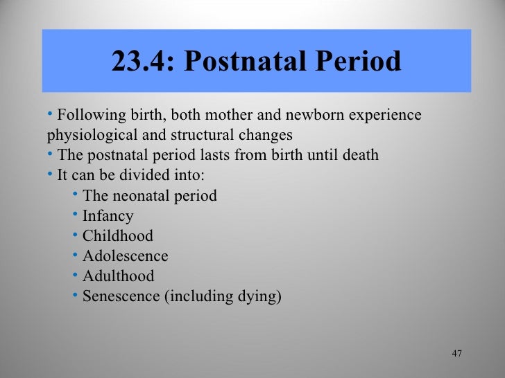 Chapt23 pregnancy & growth