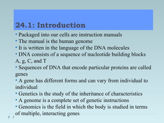 Chapt24 genetics | PPT
