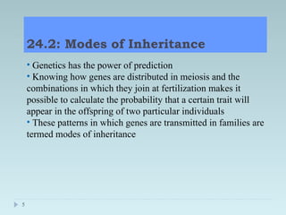 Chapt24 genetics | PPT