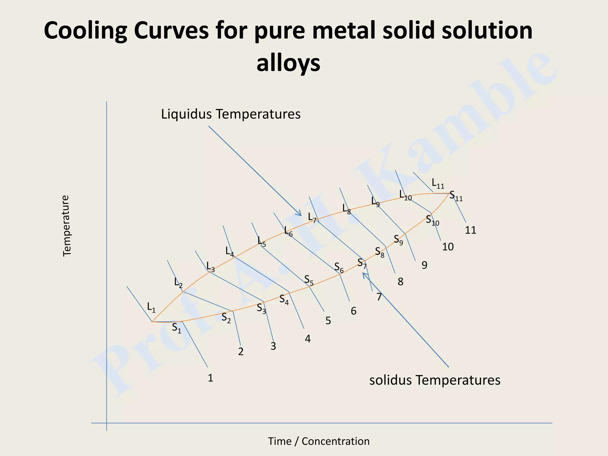 Equilibrium Diagrams | PDF
