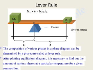 Equilibrium Diagrams | PDF