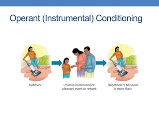 Chapt 3 perspectives | PPTX | Mental Health | Diseases and Conditions