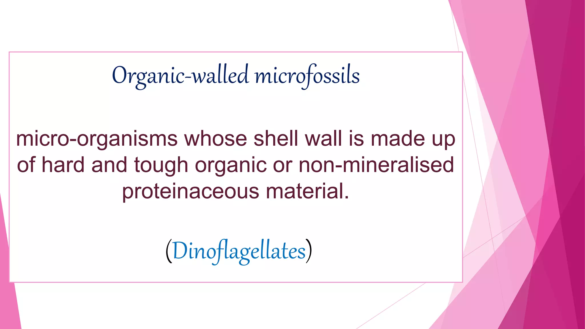 chapt 8 Dinoflagellates -.pptx