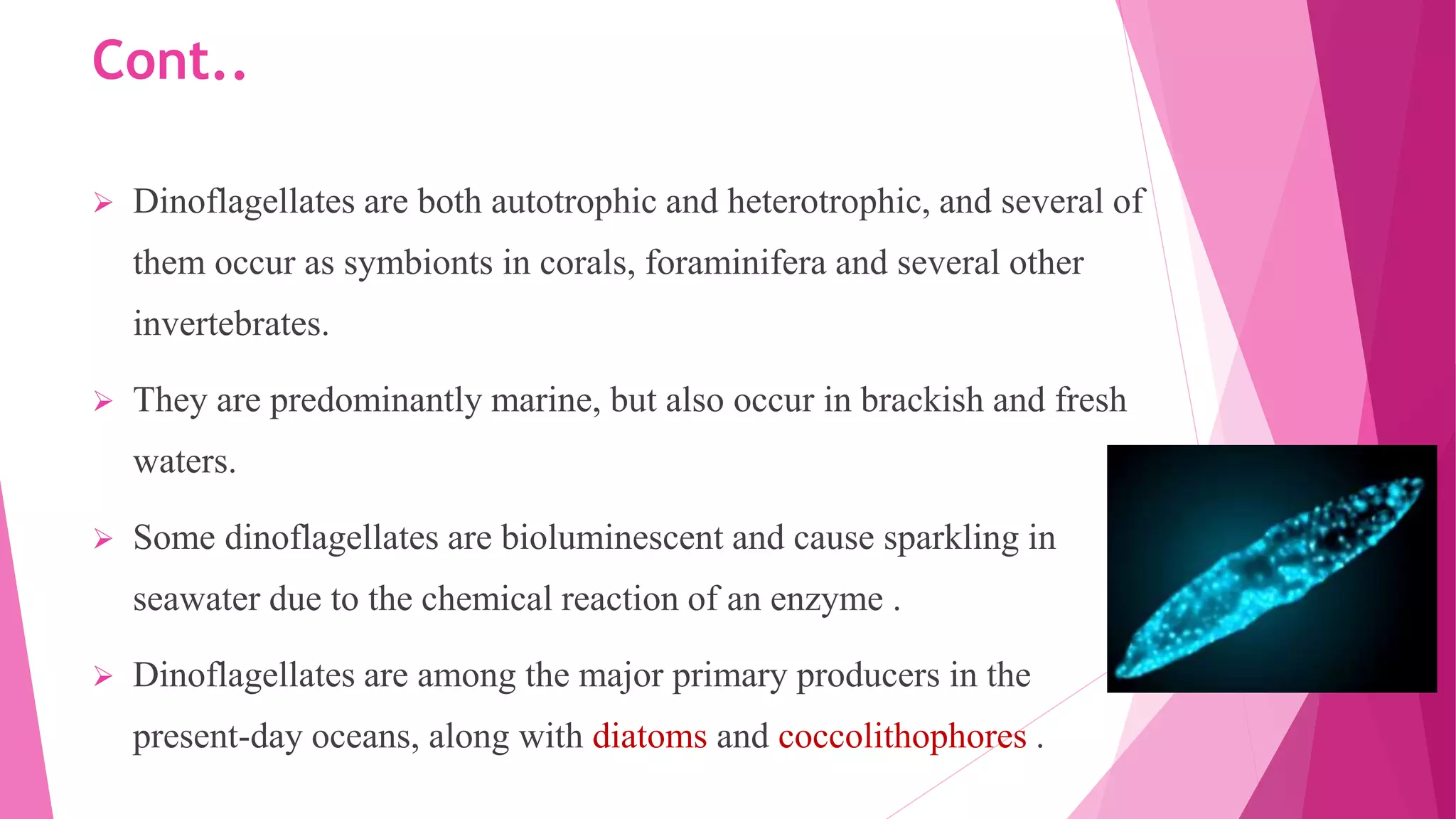 chapt 8 Dinoflagellates -.pptx