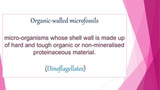 chapt 8 Dinoflagellates -.pptx