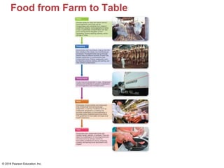 Chapter 12 FOOD SAFETY | PPTX