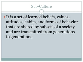 Consumer and Cultural Influences | PPTX