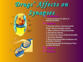 Chapter 03: Synaptic Communications | PPT