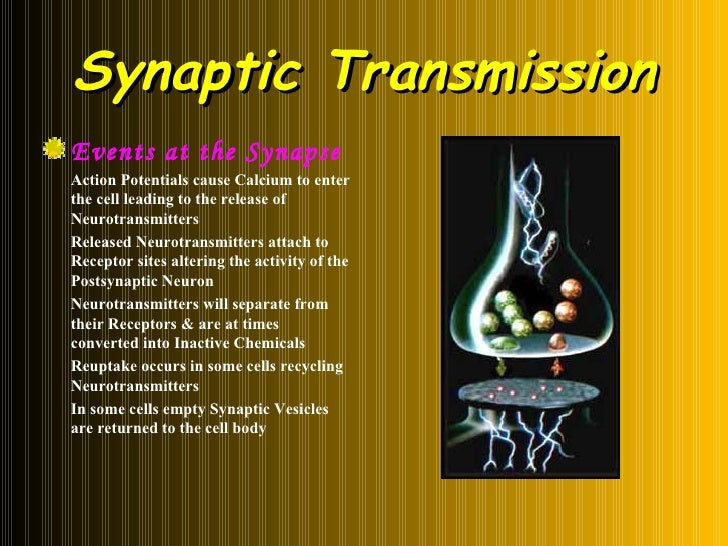 Chapter 03: Synaptic Communications