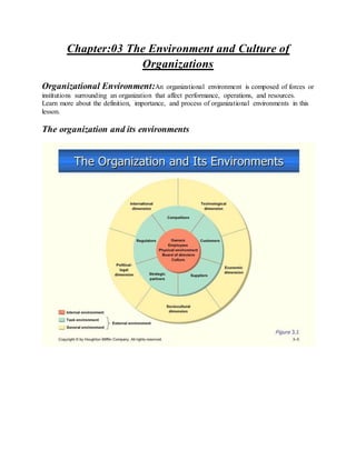 The Environment and Culture of Organizations | DOCX