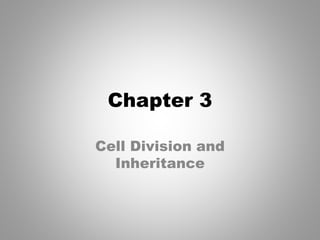 Chapter-03_Cell-Division-and-Inheritance.pptx