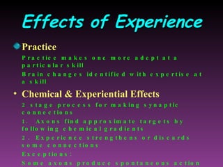 Chapter 05: Development & Plasticity of the Brain | PPT