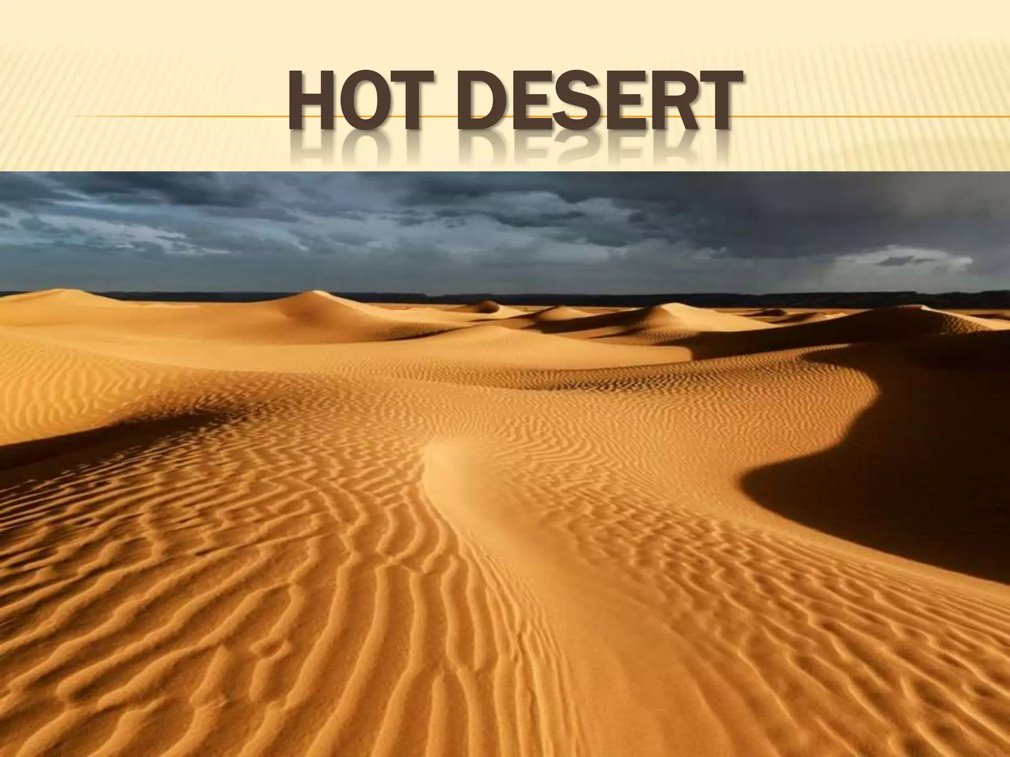 The hot desert region | PPTX