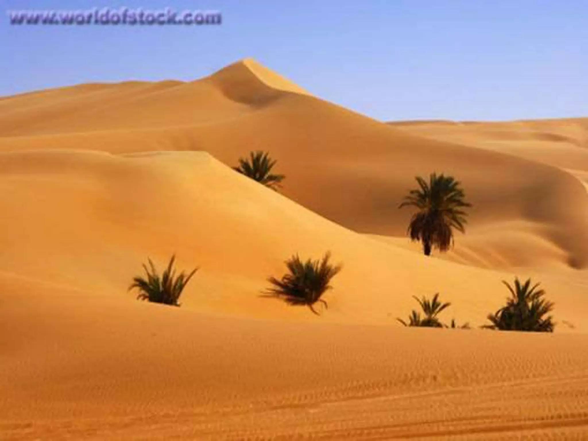 The hot desert region | PPTX