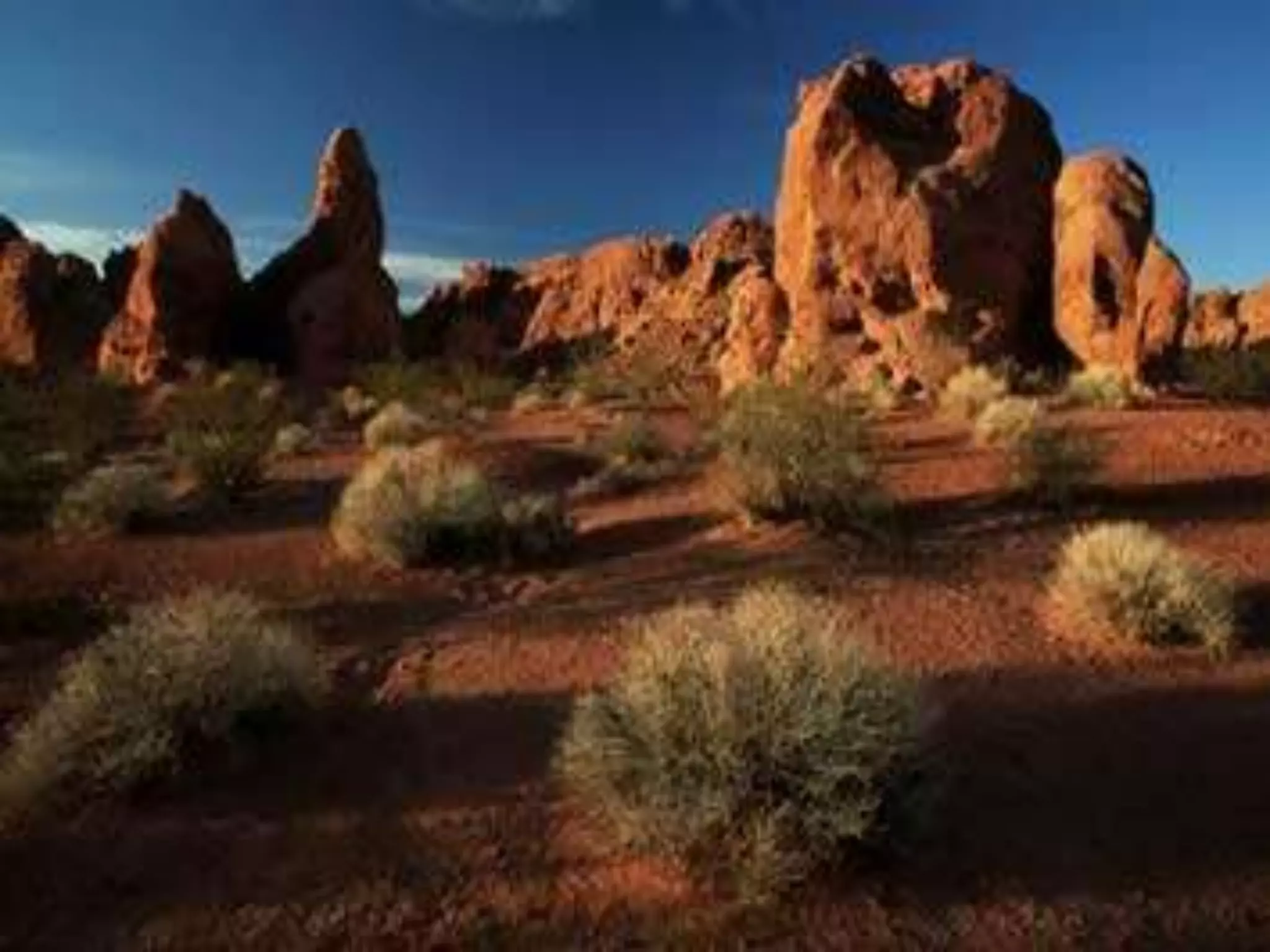 The hot desert region | PPTX