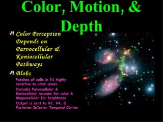 Chapter 06: Vision | PPT