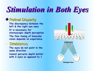 Chapter 06: Vision | PPT