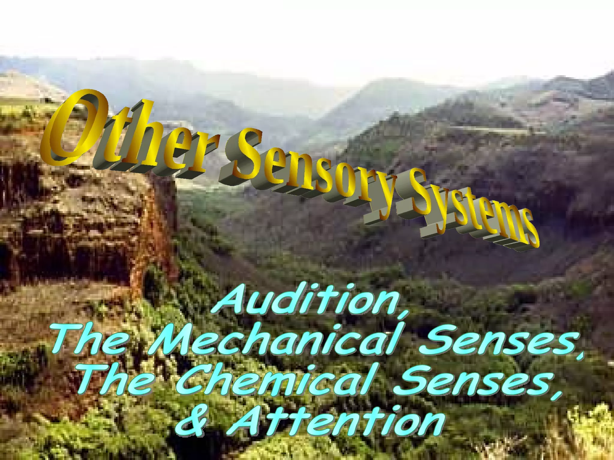 Chapter 07: Other Sensory Systems & Attention | PPT | Brain and Nervous ...