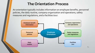 Chapter-07 about training employees.pptx