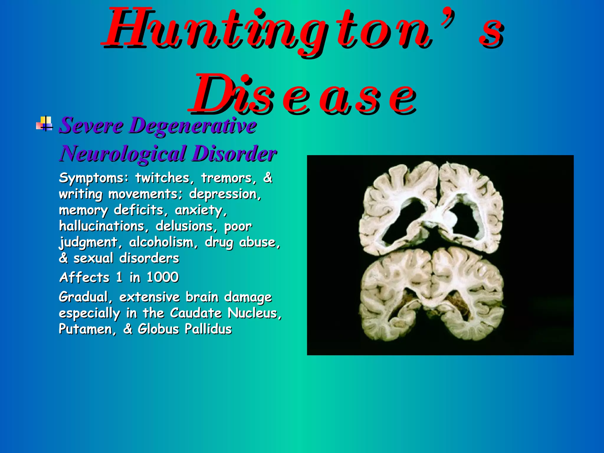 Chapter 08: Movement | PPT