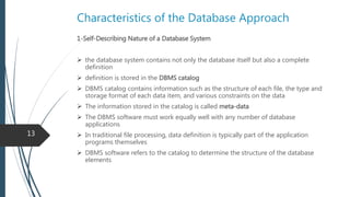Fundamentals of Database system - Databases and Database Users | PPTX